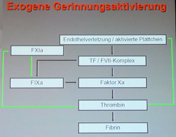 GTH : Aktuelles Verständnis der Hämostase